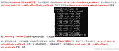 基于cuda121cudnn89pytorch231实现自定义数据集训练清华源 Cuda121 Csdn博客