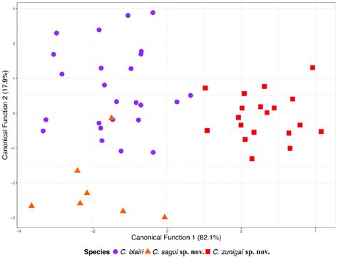 Linear Discriminant Analysis Showing The Morphological Separation Among