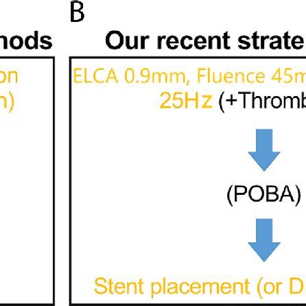 Definition Of PCI Strategies In Acute Myocardial Infarction A Download Scientific Diagram