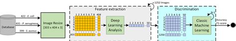 Methodology Workflow Download Scientific Diagram