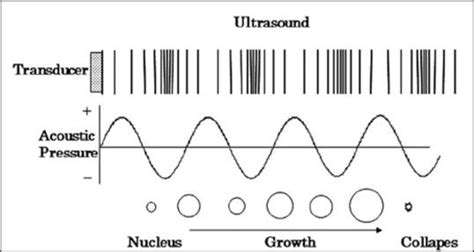 Cavitation Bubble Dynamics Adapted 33 Download Scientific Diagram
