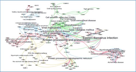 Using Single Nucleotide Variations In Single Cell Rna Seq To Identify
