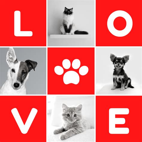 Fun With Photo Grids How To Create Display Photo Grid Art