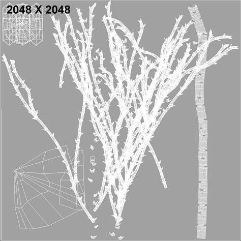 Psilopsida Modelo 3d 49 Ma Obj Free3d