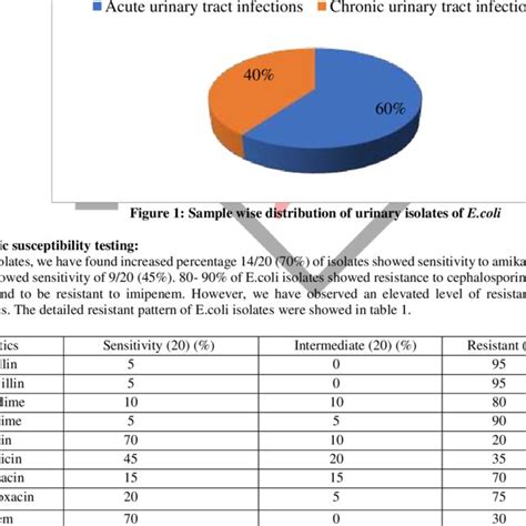 Showing Antibiotic Sensitivity Pattern Of Li Download Scientific
