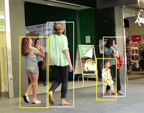 Example Of Successful Recognition Of Two Families In Seq Mot17 09 Download Scientific Diagram