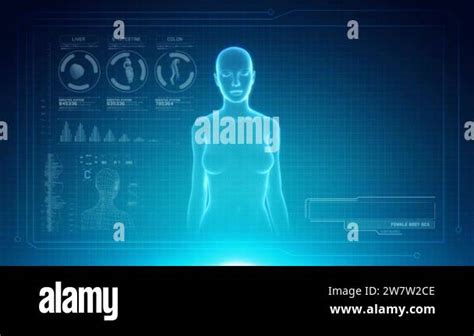 Female Digestive System Anatomy On Virtual Futuristic Blue Touch Screen Interface With