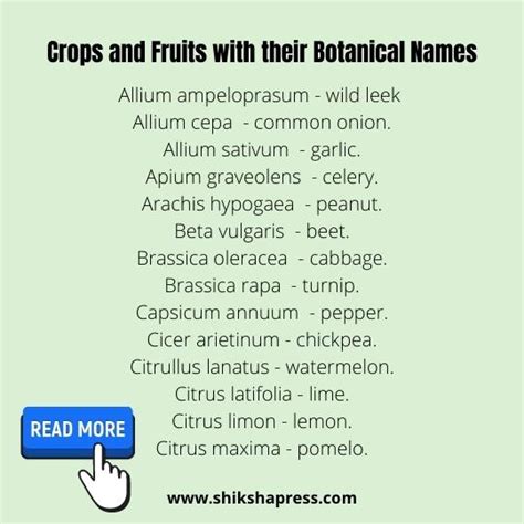 List Of Important Scientific Names Of Plants Fruits Vegetables Best Educational Website