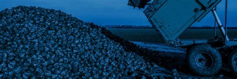 Molasses Processing By Electrodialysis Technology Mega