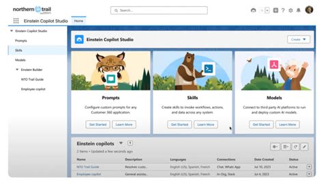 Salesforce Einstein Ia Overview Features Pricing