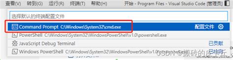 vscode终端无法使用npm的命令解决方案 vscode npm csdn博客