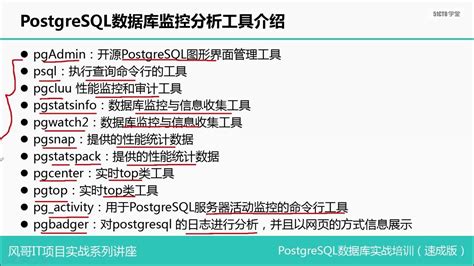 35 postgresql数据库管理入门03 youtube