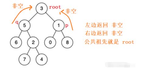 Java怎么找二叉树的最近公共祖先 开发技术 亿速云
