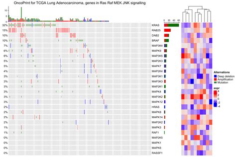 Complexheatmap 绘制肿瘤突变分布图 Yuwq 博客园