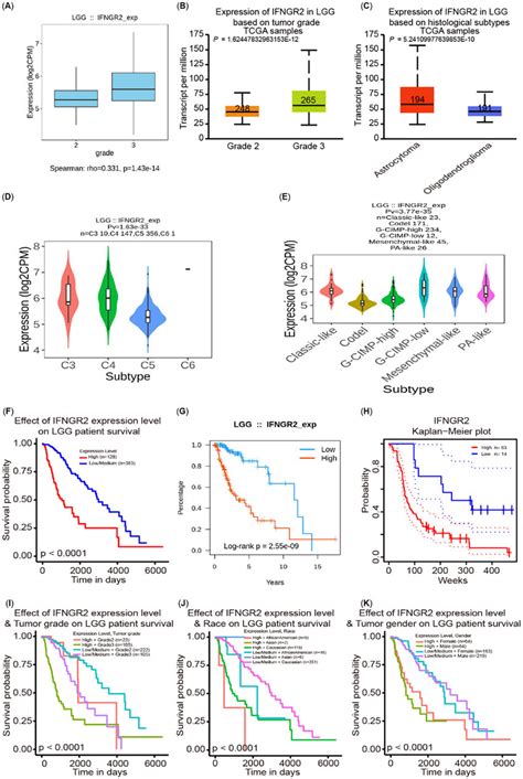 Figure S6 Comprehensive Analysis Of Ifngr2 In Lgg A The Ifngr2