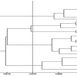 The Dendrogram Constructed From Upgma Analysis Based On Concatenated Download Scientific