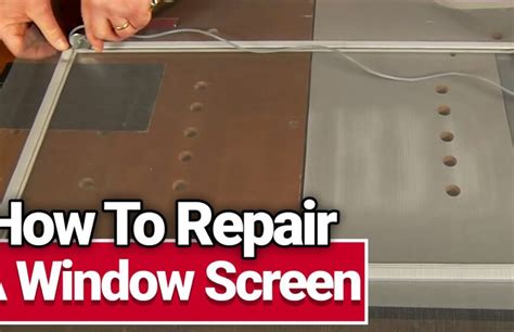 How To Fix Broken Window Screens Quickly RiHot