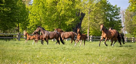 Silver Rock Ranch Added A New Photo Silver Rock Ranch
