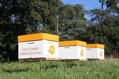 🐝🐝🐝 Bbzzz Bbzzz Bbzzz Acte En Camargue Facebook