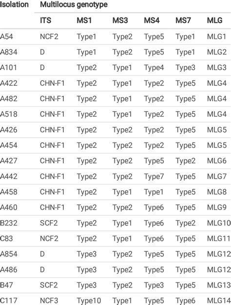 Multilocus Genotypes Of 14 E Bieneusi Isolates From Foxes And Raccoon Download Scientific