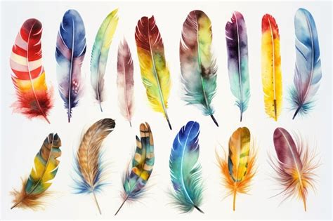 Set Colorful Feathers Birds Generate Ai Premium AI Generated Image
