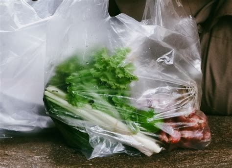 โรงเรียนธีราศรมพุนพิน โรงเรียนธีราศรมพุนพิน อ พุนพิน
