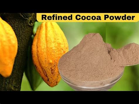 How To Make Cocoa Powder At Home Episode 3 Things You Can Get From
