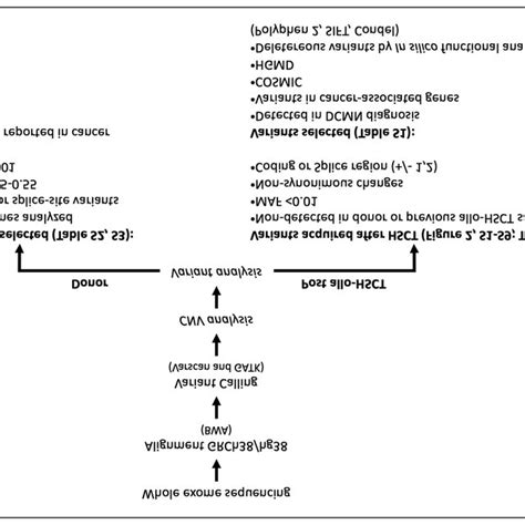 Flowchart Of Sequencing And Filtering Methods To Identify And