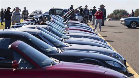 Beautiful Bodies On Display At David Hack Classic The Courier Mail