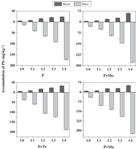 Pb Accumulation In S Nigrum L Leaves And Roots P P Mo P Tr