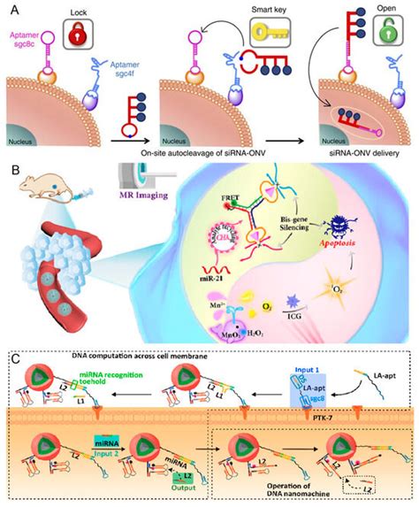 Chemistry Special Issue Functional Biomolecule Based Composites And Nanostructures Current