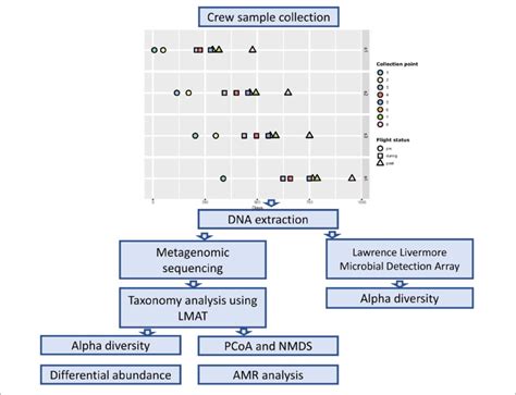 Overall Experimental And Data Analysis Workflow And Sample Collection Download Scientific