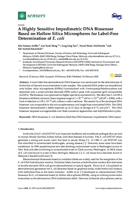 Pdf A Highly Sensitive Impedimetric Dna Biosensor Based On Hollow