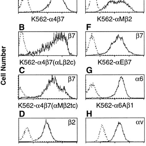 Schematic Representation Of Wild Type And Chimeric α4β7 Integrins The