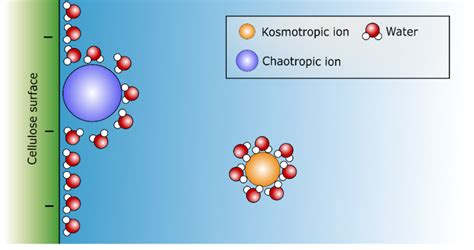 The Position Of Hydration Dictated The Positioning Of Nitrate Ions And