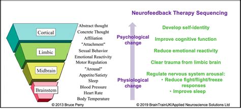 Developmental Trauma And Applied Eeg Neuroscience Braintrainuk
