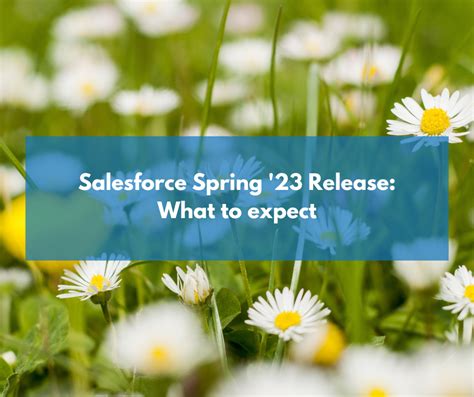 salesforce spring ‘23 release key dates and features coacto ltd