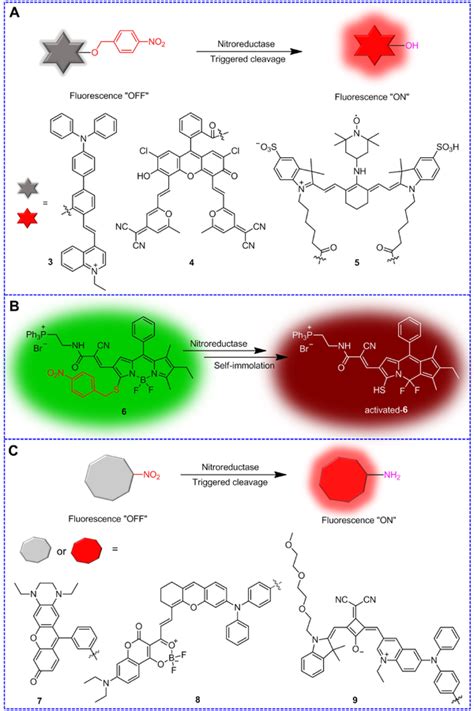 The Schematic Illustrations Of The Most Frequently Used Working