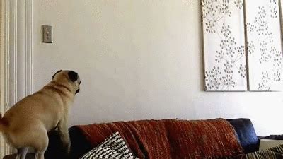 Turn Off The Lights On Make A Gif