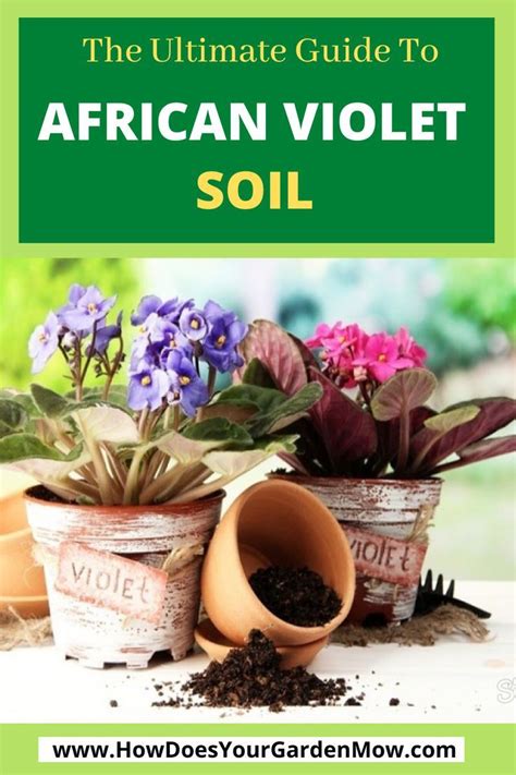 Soil Type Artofit