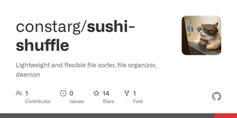 lightweight and flexible file sorter file organizer service which is