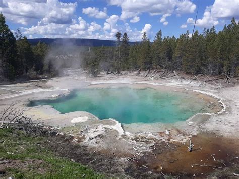 The 15 Best Easy Hikes In Yellowstone National Park
