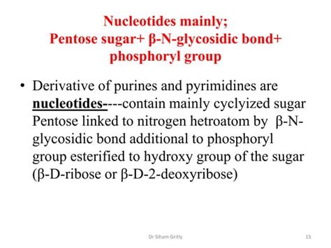5 Nucleotides And Nucleic Acids Lecture Pptx