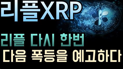 리플다시한번 다음 폭등을 예고하다 Youtube
