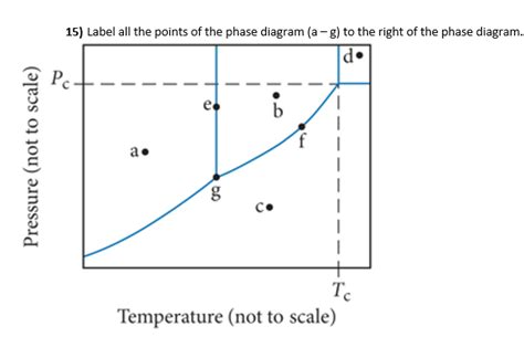 Solved 15 Label All The Points Of The Phase Diagram A−g