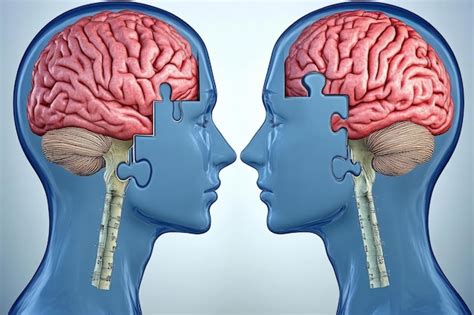 Blue Toned Illustration Of Two Heads With Visible Brain Sections Representing Cognitive