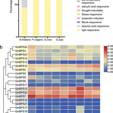 Analysis Of Promoter Cis Regulatory Element In Four Species And