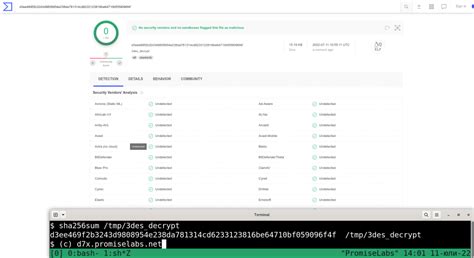 Asm Custom Crypter Slae X86 Assignment 7 D7xs Blog
