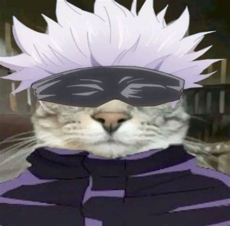 Cat Gojo Satoru Fotos De Animais Engraçados Personagens De Anime
