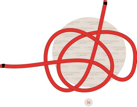 Illustrated Guide How To Tie A Perfection Loop Knot